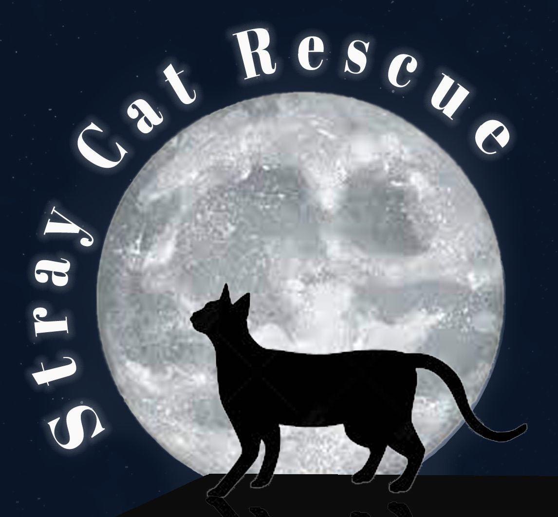 Cat rescues we work with – Tippaws