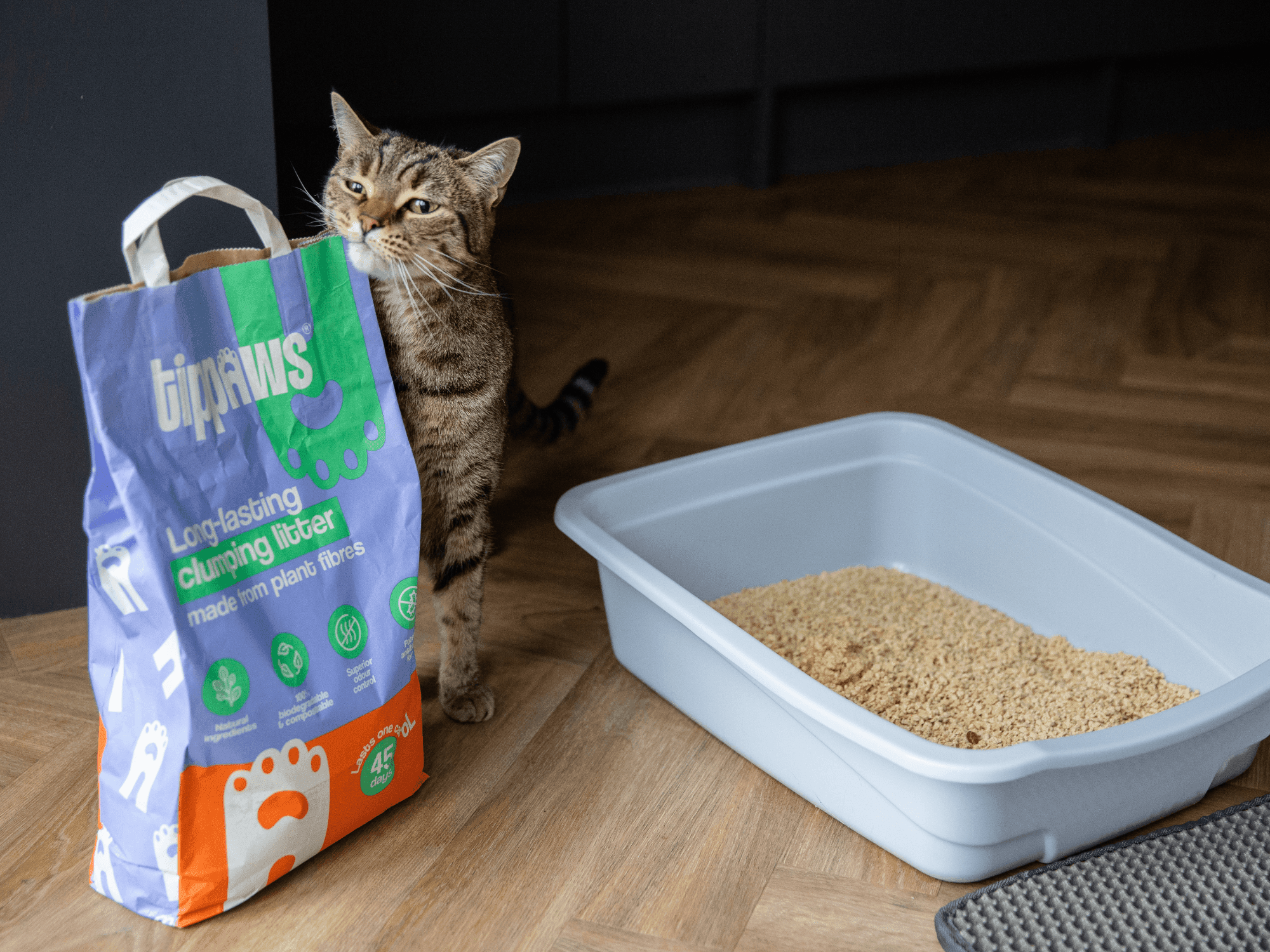 The Litter Guide - how to use clumping litter – Tippaws