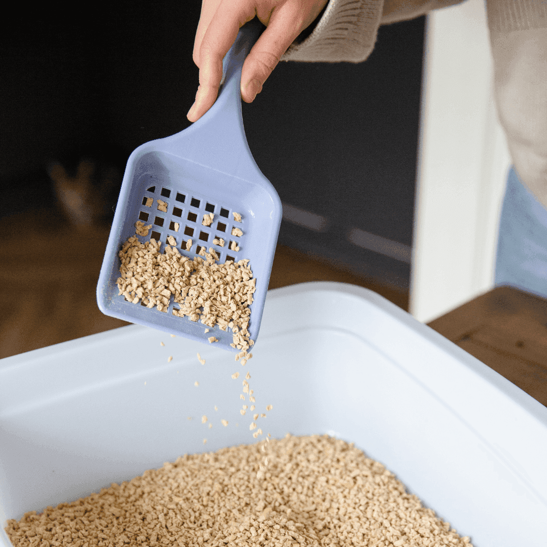 Litter scoop made from recycled ocean plastic – Tippaws